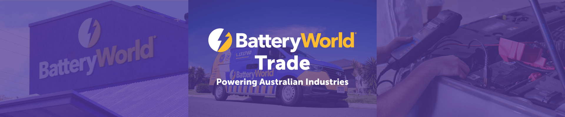 Battery World Trade